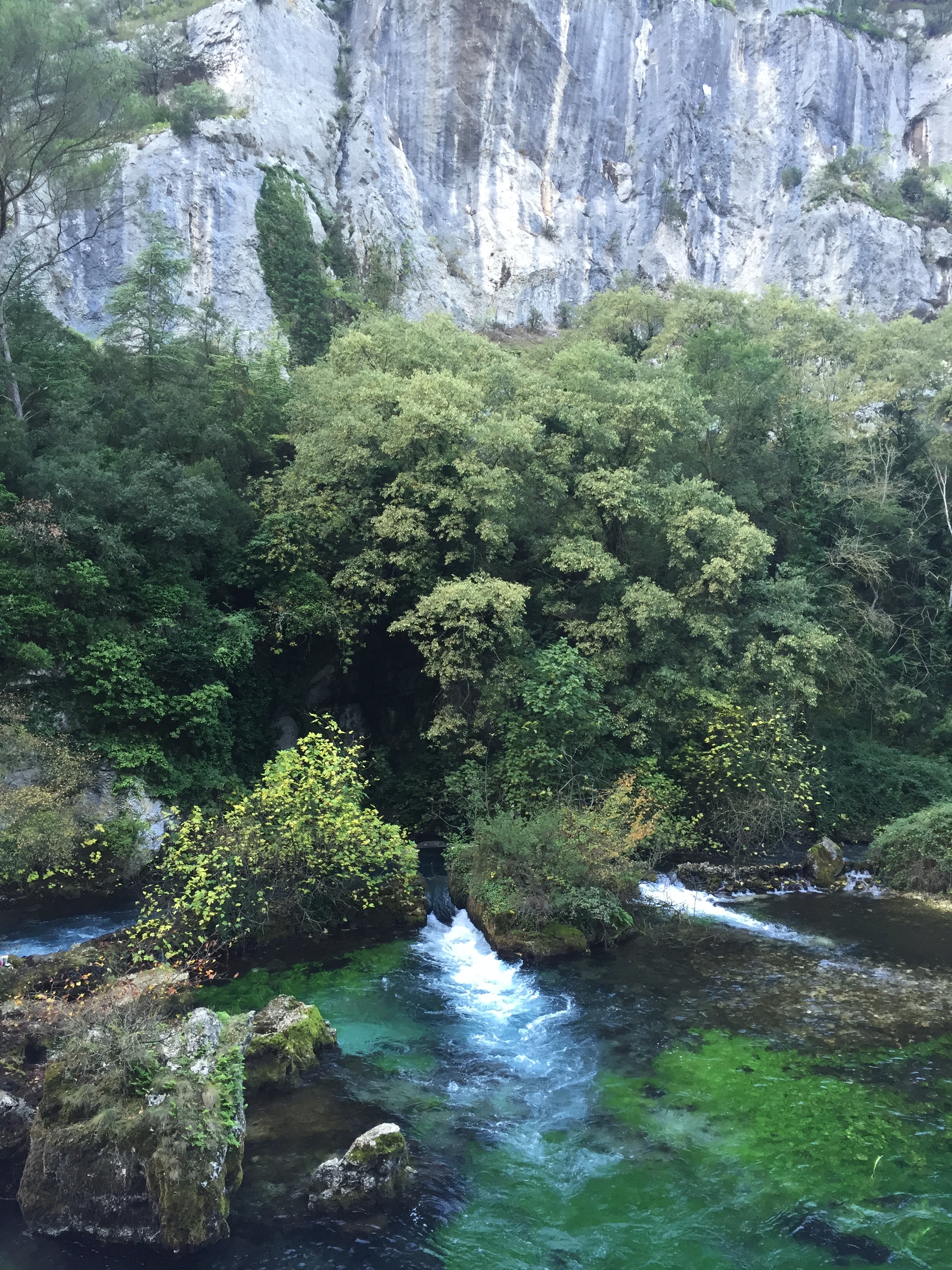 What Is Discomfort? – Molly Rose Freeman